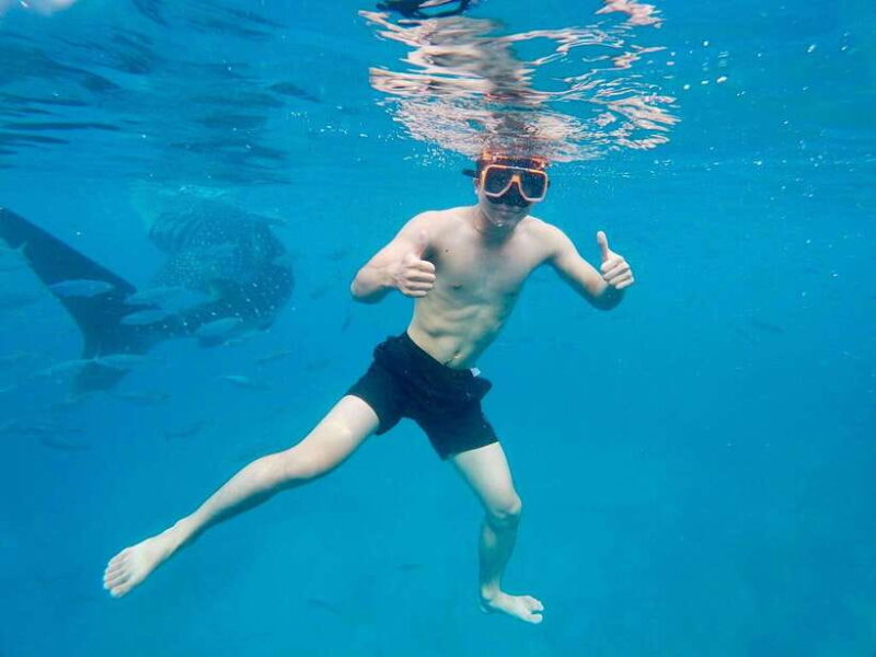 Oslob Whale Shark Direct - Key Points