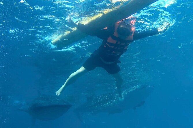 Oslob Whale Shark Snorkeling & Kawasan Canyoning Tour - Who Should Consider This Tour?