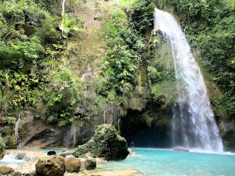 Oslob: Whale Shark Swim & Aguinid Falls Canyoneering Tour - Who Should Book This Tour?