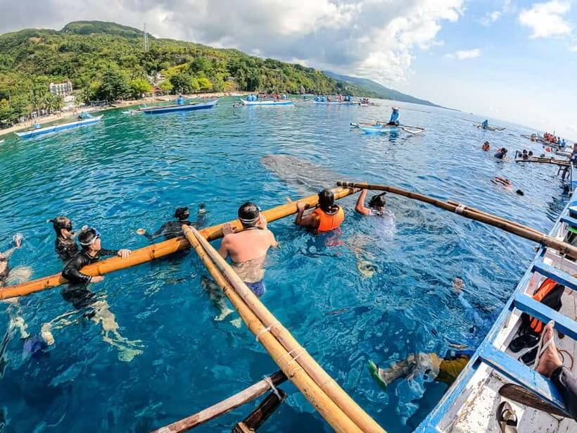 Oslob Whale Shark & Tumalog Waterfalls & Sumilon Sandbar - Starting the Journey: From Cebu City to Oslob