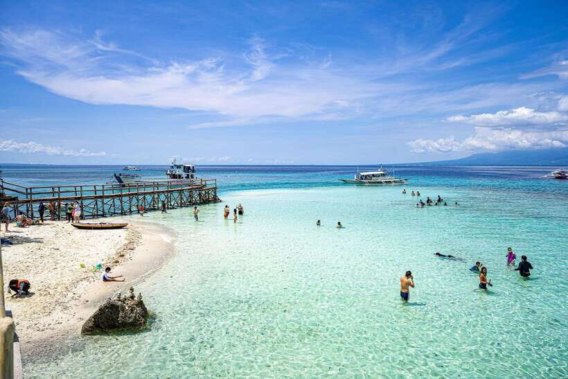 Oslob Whale Shark & Tumalog Waterfalls & Sumilon Sandbar - Who Should Consider This Tour?