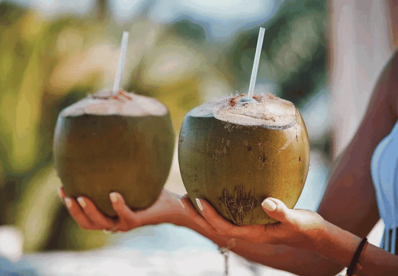 Oslob: Whale Sharks, Tumalog Falls, & Monkey Sanctuary Tour - Final Thoughts