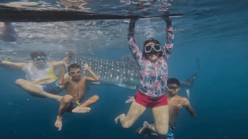 Oslob: Whale Sharks, Tumalog Falls & Sumilon Trio Adventure - An In-Depth Look at the Oslob: Whale Sharks, Tumalog Falls & Sumilon Adventure