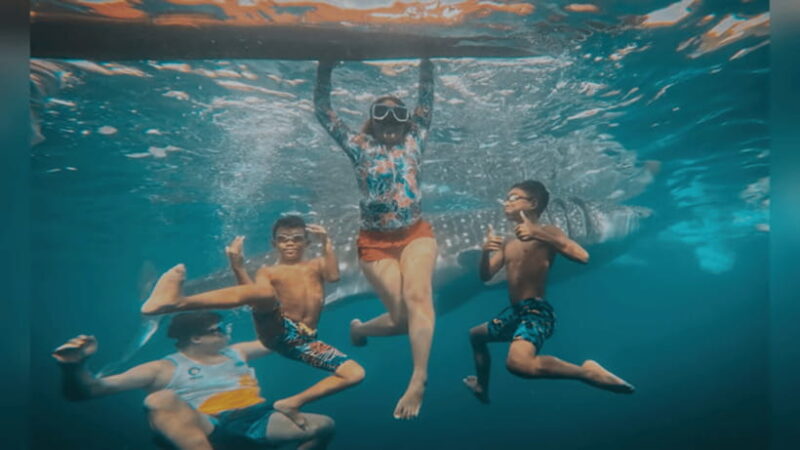 Oslob: Whale Sharks, Tumalog Falls & Sumilon Trio Adventure - Final Thoughts: Who Should Consider This Tour?