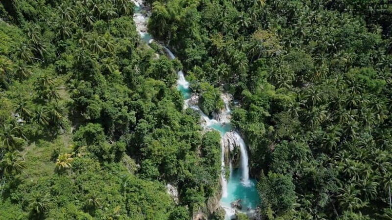 Oslob: Whaleshark Swimming, Inambakan Falls & Moalboal Tour - The Sum Up: Who Will Love This Tour?