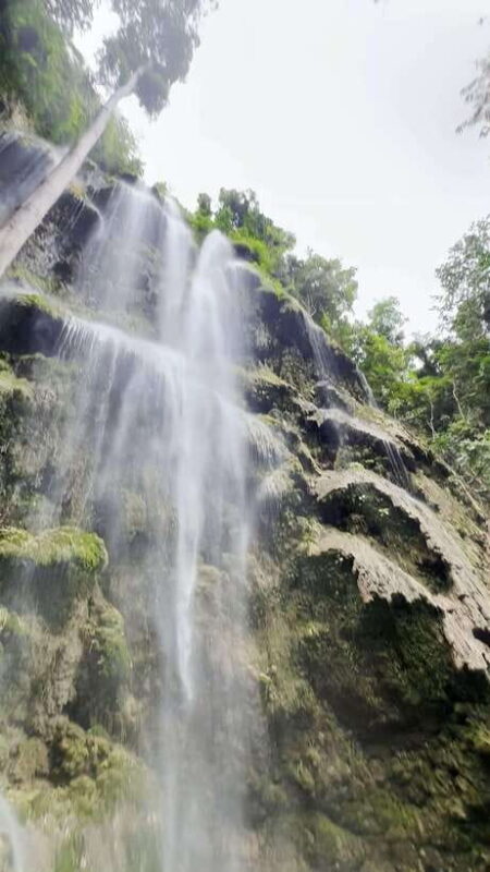 Oslob: Whaleshark Swimming, Tumalog Falls & Sumilon Island - The Experience: A Day in Oslob