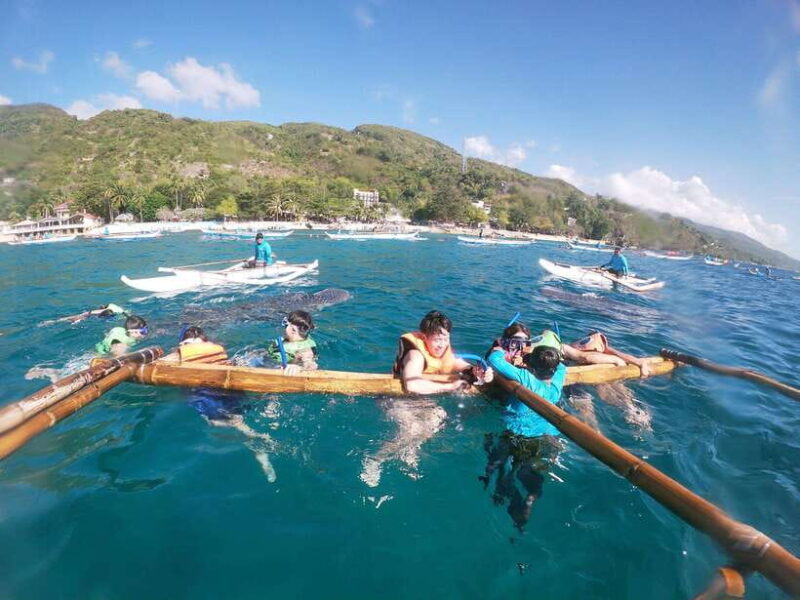 Oslob: Whaleshark Swimming, Tumalog Falls & Sumilon Island - FAQ