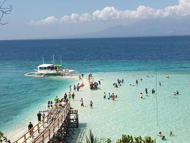 Oslob: Whaleshark Watching, Sumilon Island & Monkey Viewing - Key Points