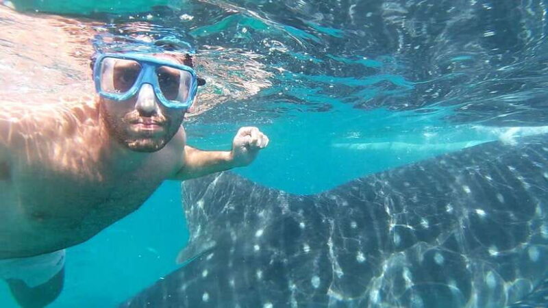 Oslob: Whaleshark Watching, Sumilon Island & Monkey Viewing - FAQ