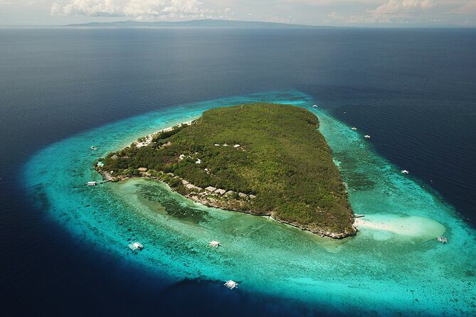 Oslob Whaleshark with Sumilon Island - Authentic Experiences and Traveler Feedback