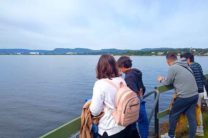Oslofjord Island Hopping Tour - Authentic Experiences and Traveler Perspectives