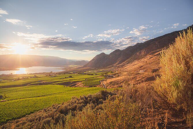 Osoyoos Half Day Wine Tour (Incl. Tasting Fees & Guide Gratuity!) - The Reviews Speak Volumes