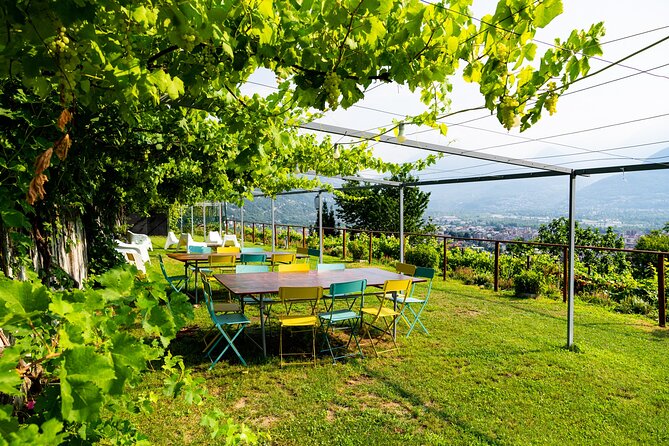 Ossola Valley Winery Tour With Tastings - Exploring the Historic Vineyards
