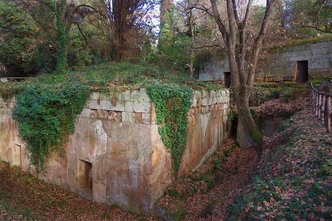 Ostia and Cerveteri Port Tour (Driver Only/Self Touring) - FAQ