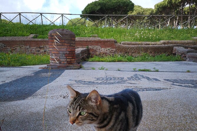 Ostia Antica Archeological Park With Italian GELATO - Inclusions and Pricing