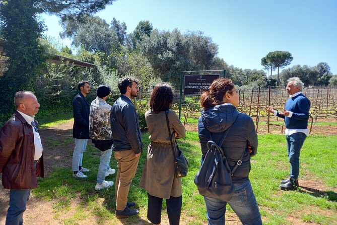 Ostuni DOC Winetour and Tasting. - Guest Reviews and Feedback
