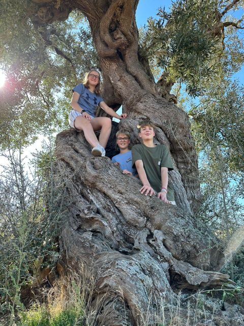 Ostuni e-bike tour. The olive trees and a local oil mill - Introduction: A Perfect Blend of Nature and Culture