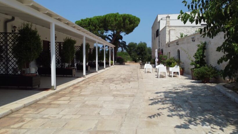 Ostuni: Olive Oil Tasting Tour - The Sum Up