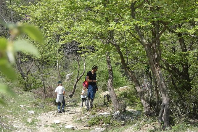 Osumi Canyons and Bogova Waterfall From Berat - Tour by 1001 Albanian Adventures - Additional Information for Travelers