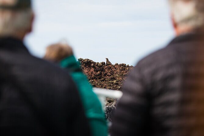 Otago Harbour Wildlife Cruise (Dunedin Shore Excursion) - FAQ