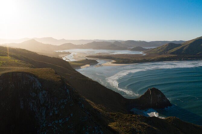 Otago Peninsula In-Depth Tour & Blue Penguins Pukekura Experience - The Sum Up: Is It Worth It?