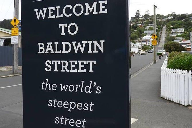 Otago Peninsula Scenery and Dunedin City Highlights Tour - A Deep Dive into the Otago Peninsula Scenery and Dunedin City Highlights Tour