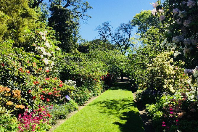 Otago Peninsula Scenery and Dunedin City Highlights Tour - In The Sum Up