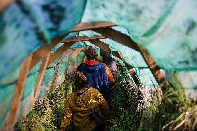 Otago Peninsula Wildlife Tour & Cruise - Otago Peninsula Wildlife Tour & Cruise: A detailed look