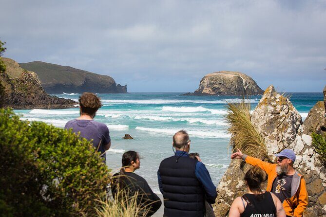 Otago Peninsula Wildlife Tour & Cruise - Key Points