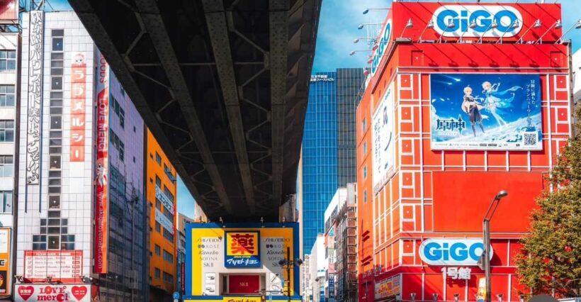 Otaku Tokyo Tour: Akihabara and Nakano Broadway - Discovering Tokyo’s Otaku Heartland