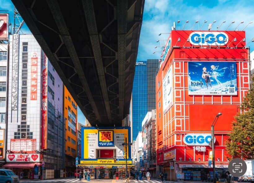 Otaku Tokyo Tour: Akihabara and Nakano Broadway - What We Think: Is It Worth It?