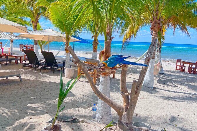 Otoch Mayan Experience Tour: Cultural & Historical Adventure - Final Thoughts: Is This Tour Worth It?