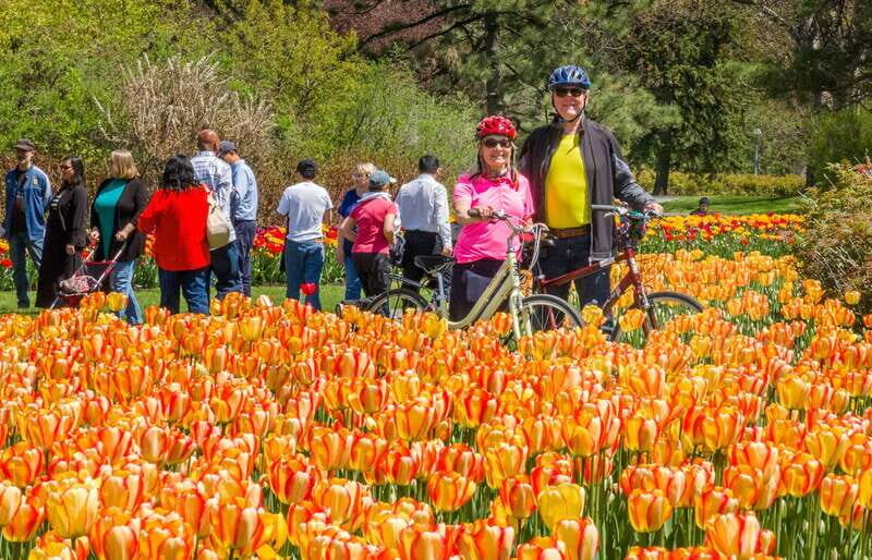 Ottawa: 2 or 3.5-Hour Guided Bike Tour with a Local Guide - Key Points