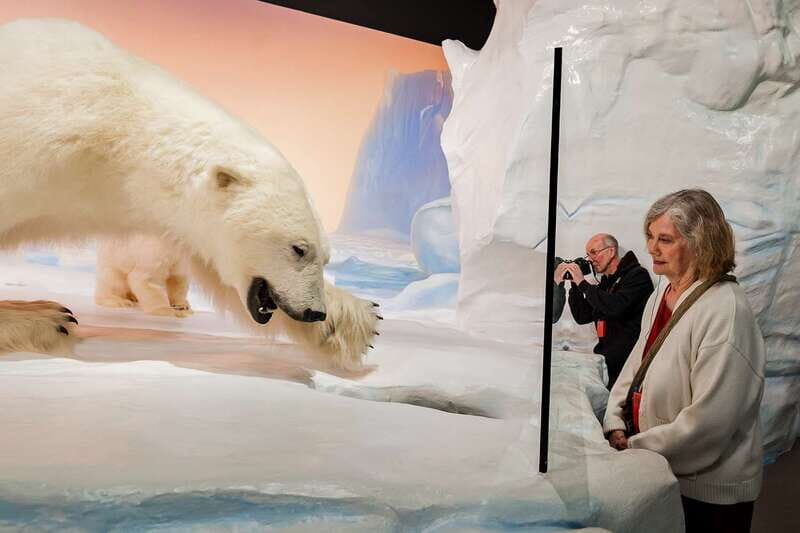 Ottawa: Canadian Museum of Nature Admission - Who Will Love This Museum?