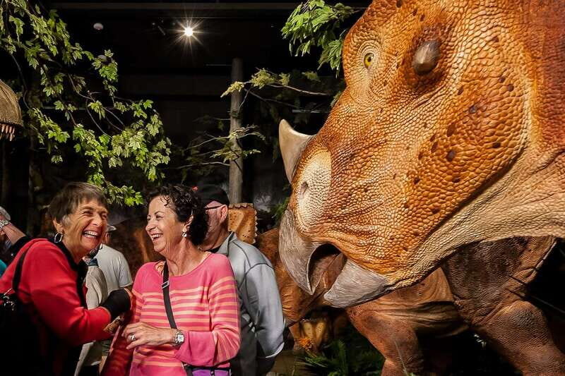 Ottawa: Canadian Museum of Nature Admission - The Sum Up