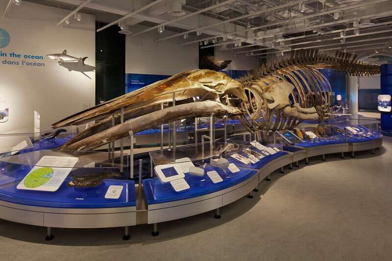 Ottawa: Canadian Museum of Nature Admission - FAQ