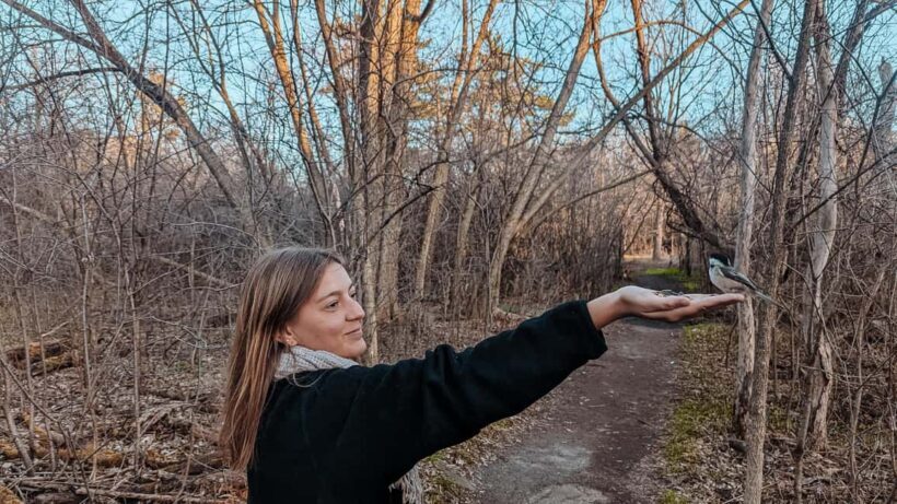 Ottawa: Guided Nature Walk & Wildlife Tour with Hotel Pickup - Authentic Encounters: What Travelers Are Saying