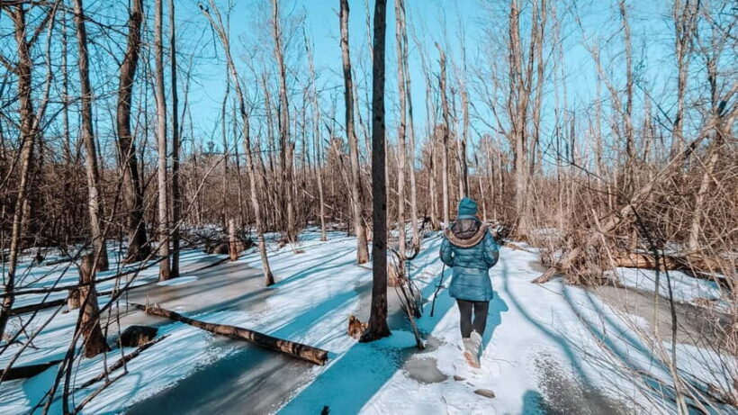 Ottawa: Guided Nature Walk & Wildlife Tour with Hotel Pickup - The Sum Up