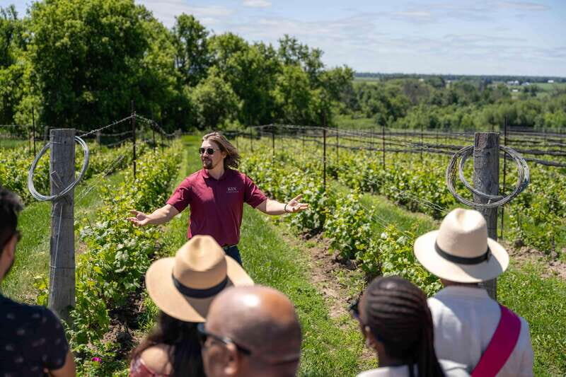 Ottawa: Local Wine and Cider Tour - Who Will Love This Tour?
