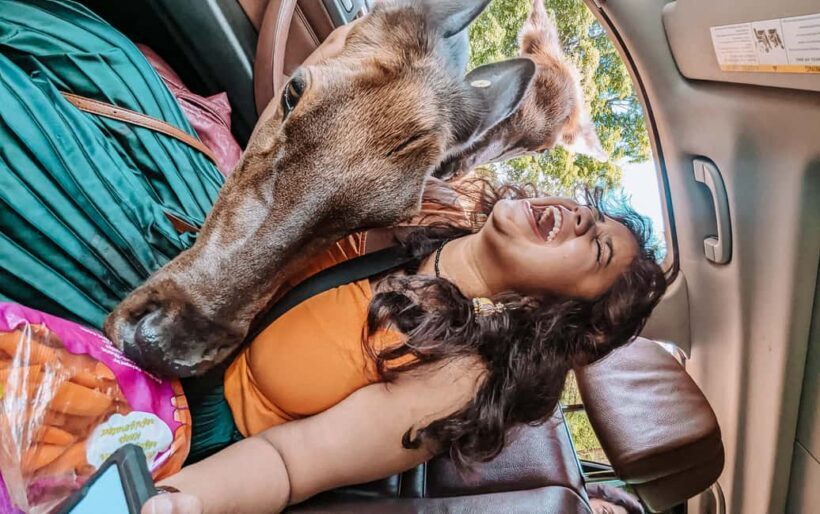 Ottawa: Private Wildlife Adventure Safari in Parc Omega - Authentic Experiences and Guest Feedback