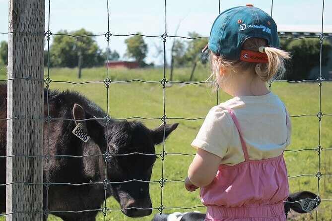 Ottawa Valleyview Little Animal Farm Tour - What to Expect from the Valleyview Little Animal Farm Experience