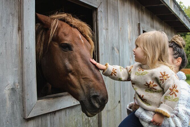 Ottawa Valleyview Little Animal Farm Tour - Who Should Consider This Tour?
