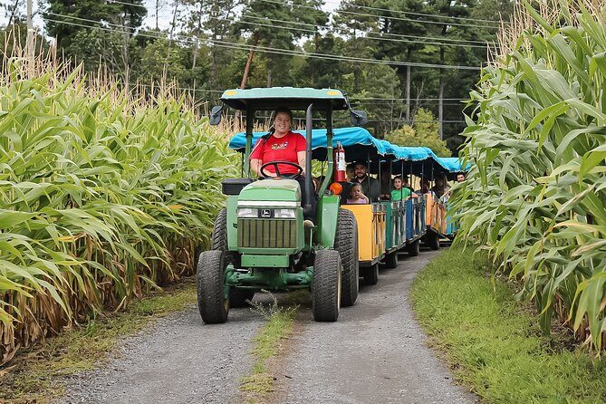 Ottawa Valleyview Little Animal Farm Tour - The Sum Up