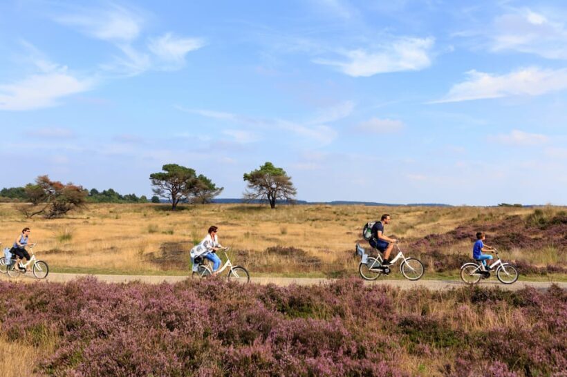 Otterlo: De Hoge Veluwe National Park Entry Ticket - Practicalities and Tips