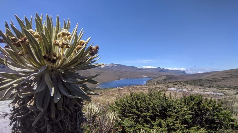 Otun Lagoon, 2 day expedition - Key Points