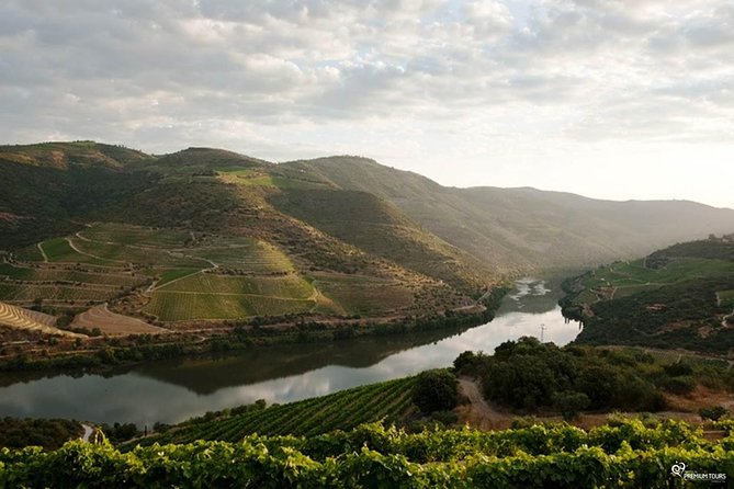 Our magnificent Douro Valley - Exploring the Douro Valley: What Makes This Tour Stand Out