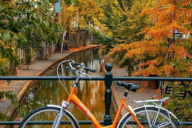 Our Utrecht City Tour (Limited Group Size & Optional Lunch) - Traveler Feedback and Ratings