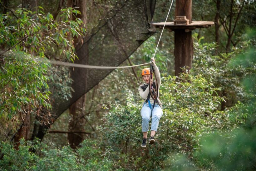Ourimbah: Central Coast Treetops Adventure Tree Ropes Course - An In-Depth Look at the Ourimbah Treetops Adventure