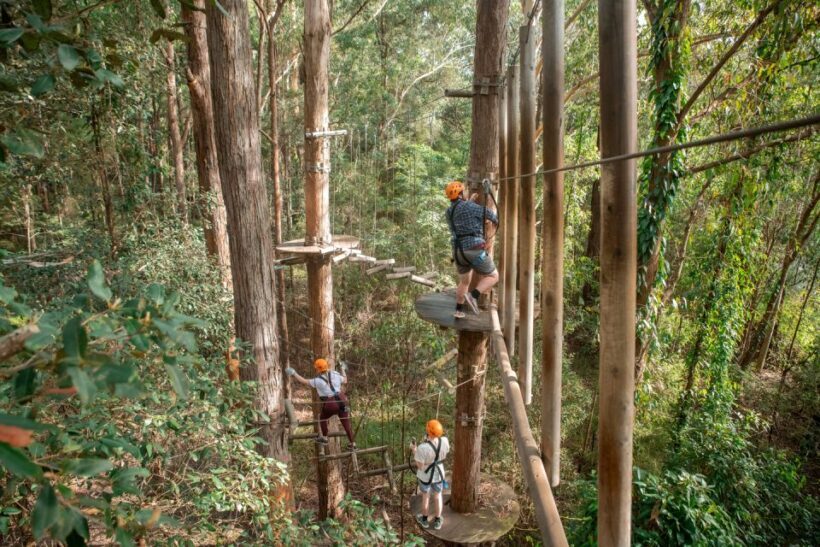 Ourimbah: Central Coast Treetops Adventure Tree Ropes Course - FAQs