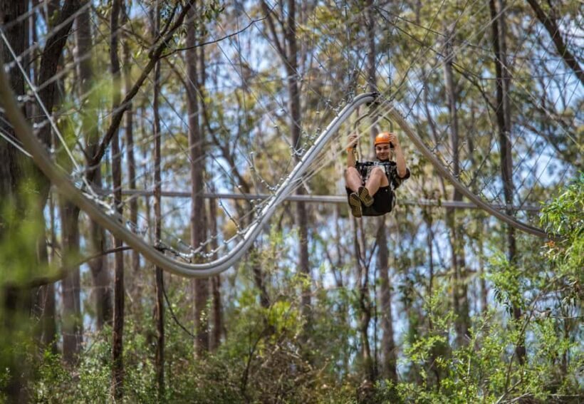 Ourimbah: Central Coast Zipcoaster - Key Points